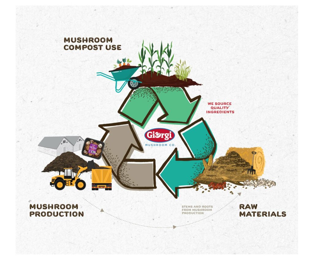 Mushroom Compost - The Giorgi Companies, Inc.