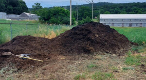 Mushroom Compost - The Giorgi Companies, Inc.